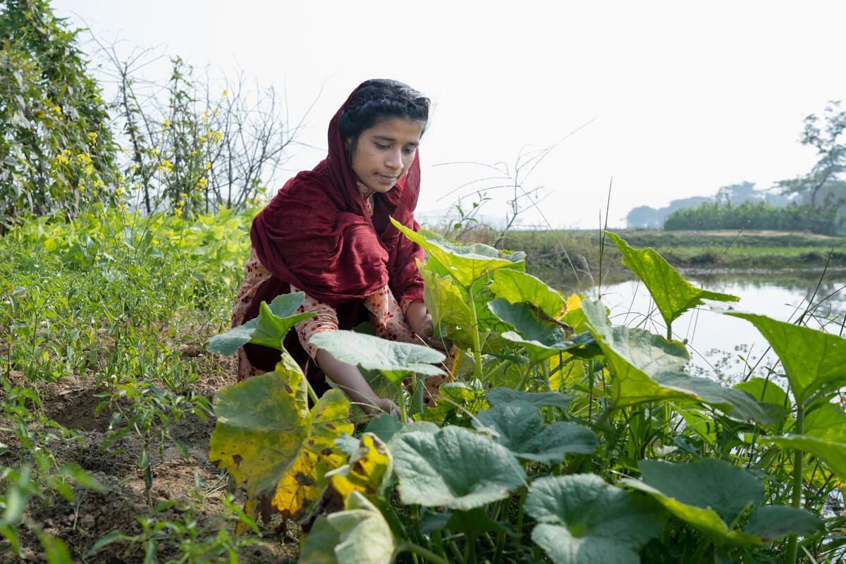 The women creating a sustainable future in Bangladesh